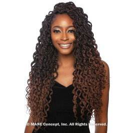 BOX204 - 2X WANDA BOX BRAID 20” - Mane Concept